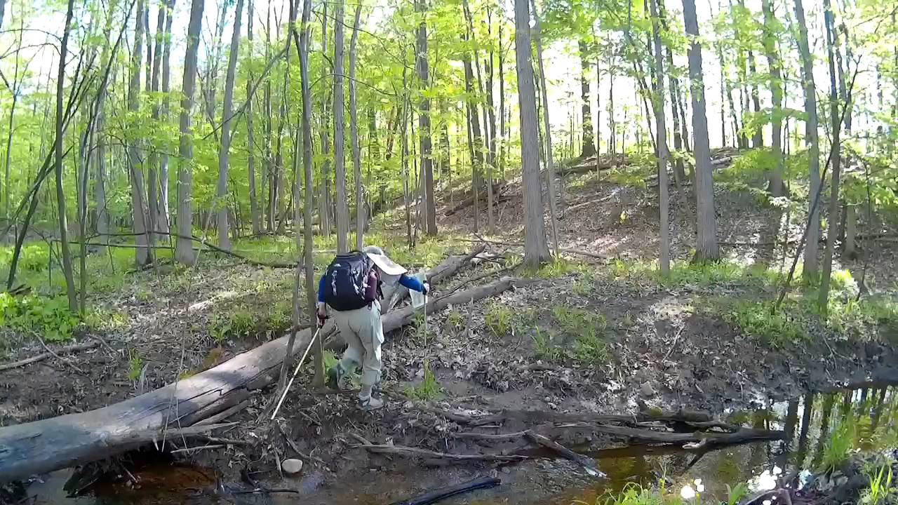 Genesee County Hogbacks Park Youtube